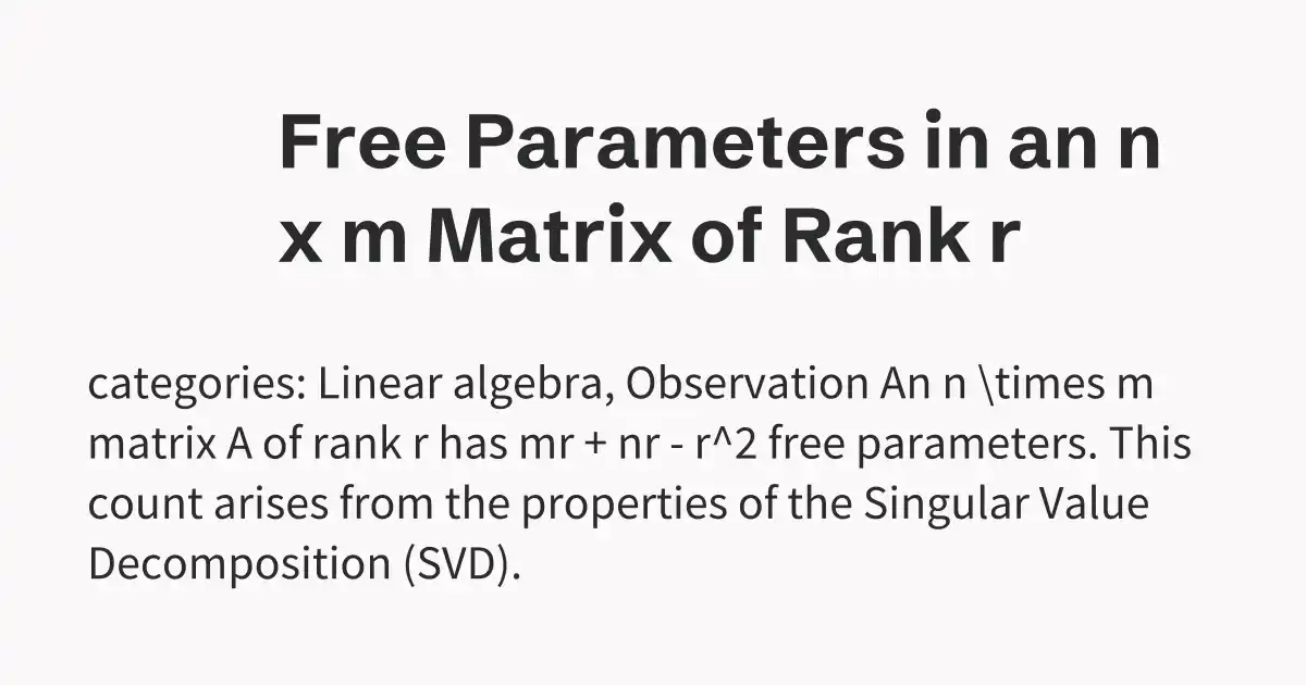 Free Parameters in an n x m Matrix of Rank r